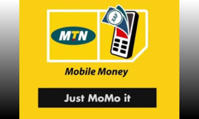 Momo Logo Mtn