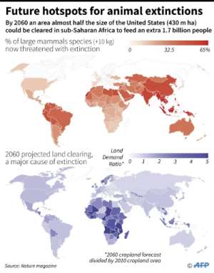Humans pose ever-bigger extinction risk to animals: review