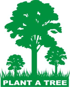 Abosso Goldfields embark on tree planting exercise