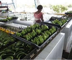 Golden Exotics Company goes Fairtrade