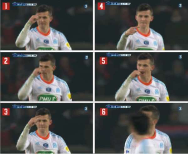 Zlatan Ibrahimovic : His big nose doing the buzz!