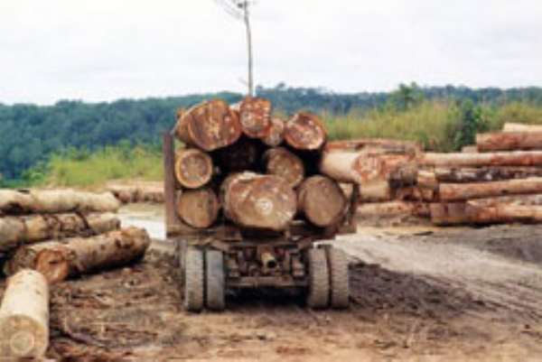 Ghana has the highest rate of deforestation