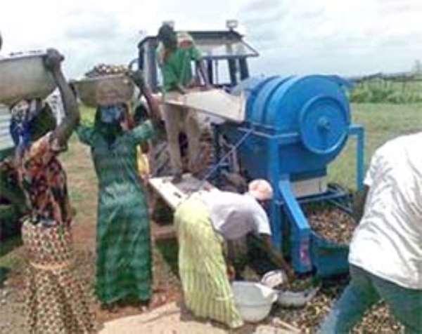 BioFuel Africa Produces Jatropha Oil