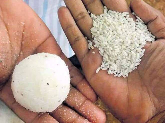 Rice Made From Plastic: Real Or Myth?
