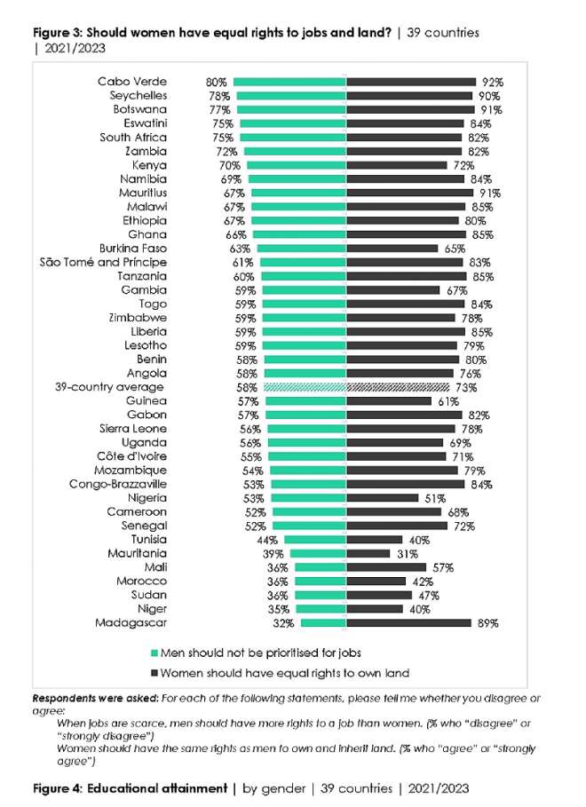 Africans back gender equality, but gaps persist; governments urged to ...