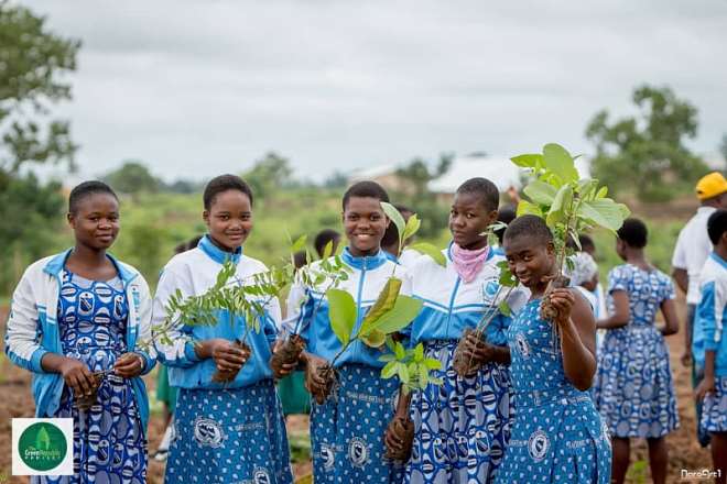 A call for a National Tree Planting Day and a man’s journey to plant 20 ...