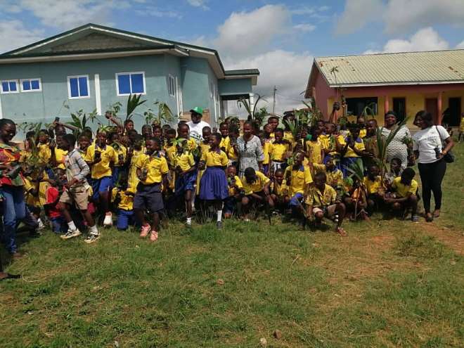 Secure necessary permits and documents before harvesting any tree in ...