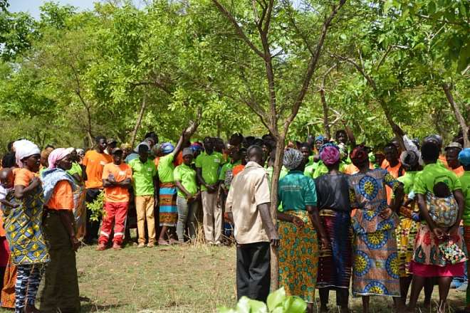 Let’s join hands to restore the ecosystem now - World Vision Ghana