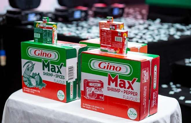 Gino Max Launched