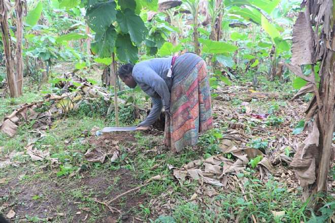 Bringing life back to nature and people