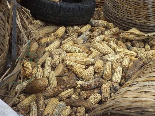 How A Mad Man Helped Me To Reduce Food Wastage And Hunger In Ghana