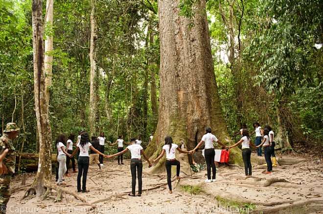 Miss Ghana finalists tour “Big Tree”
