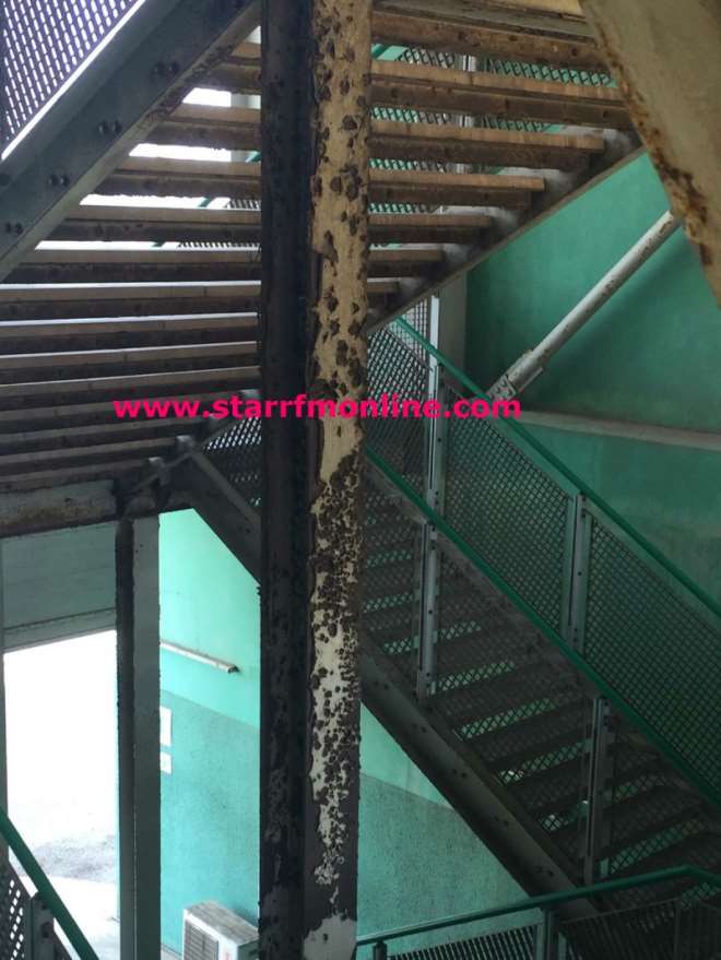 Photos: Accra Sports Stadium Falling Apart