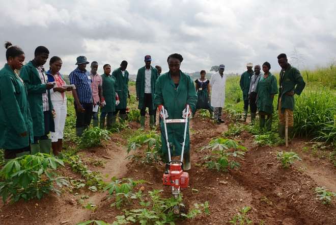 IITA Cassava Weed Management Project Engages Nigerian Engineers In ...