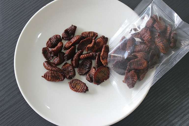 Nutritional Facts And Health Benefits Of Edible Palm Weevil Larvae ...