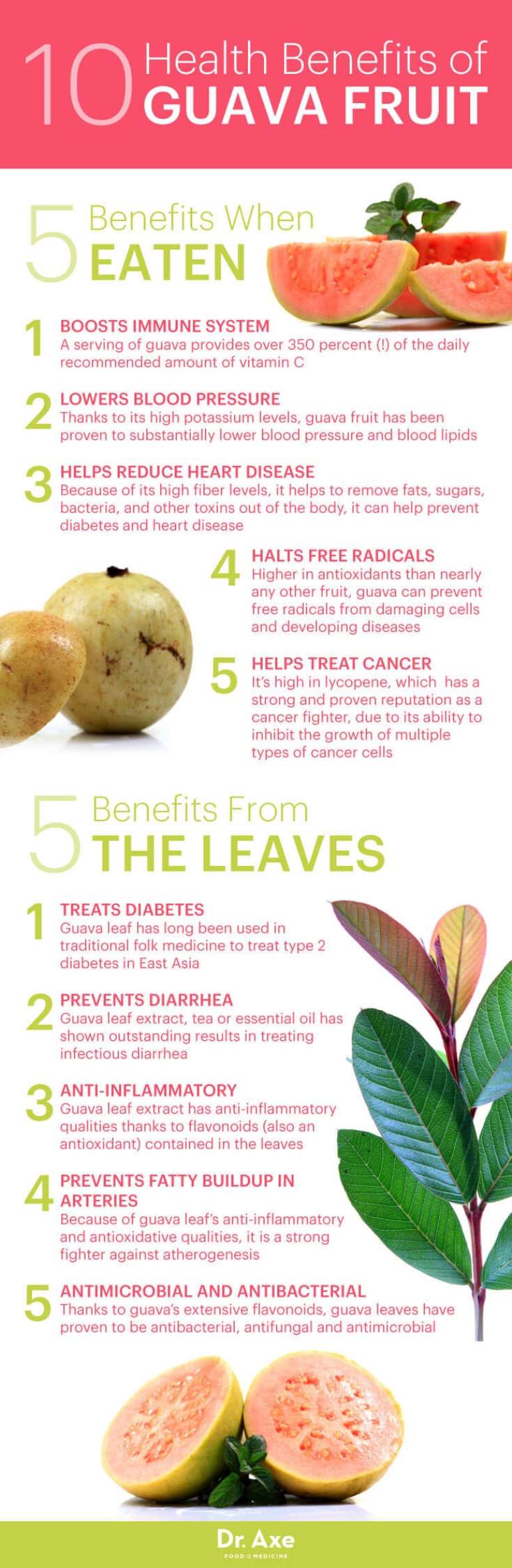 Guava: More Powerful Antioxidants Than Almost Any Other Fruit, Treats ...