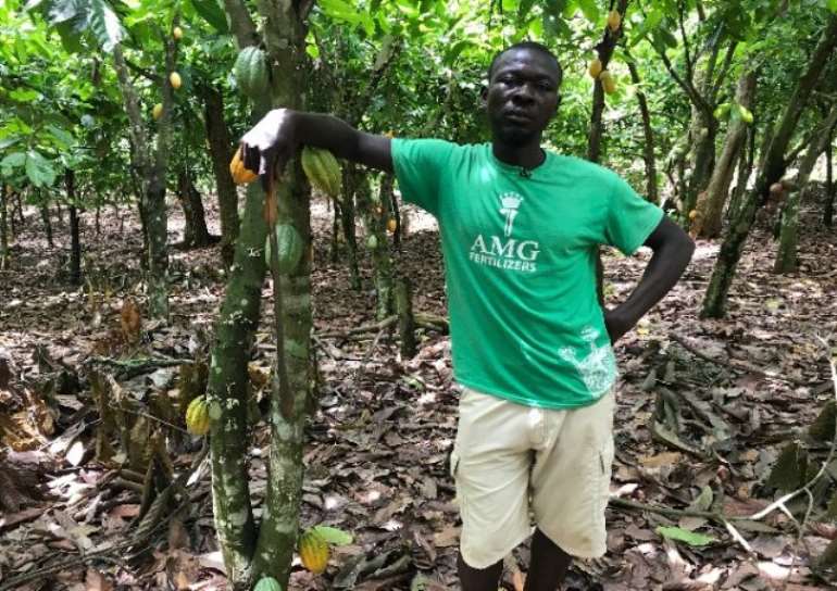 Best Cocoa Farmer Wants Mass Cocoa Spraying Exercise Scrapped, Subsidized