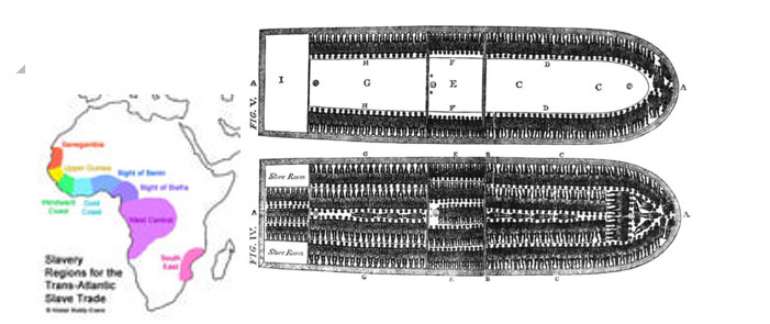The Jamaican Akan Root