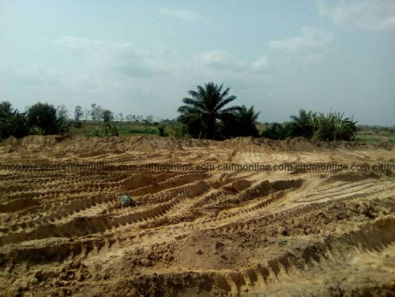 Golden Exotics Fights Land Guards