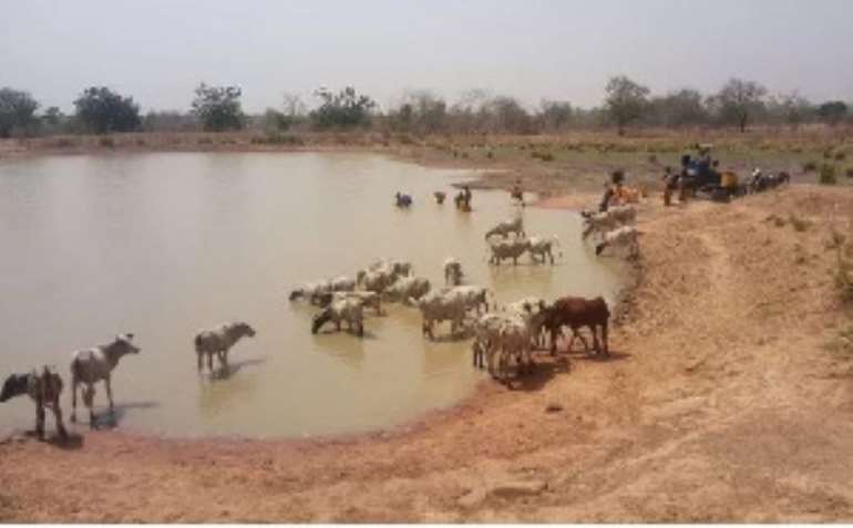 Bono Region: How Wenchi residents are sharing water with animals ...