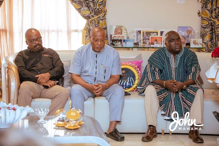 John Mahama meets delegation from German SPD Party
