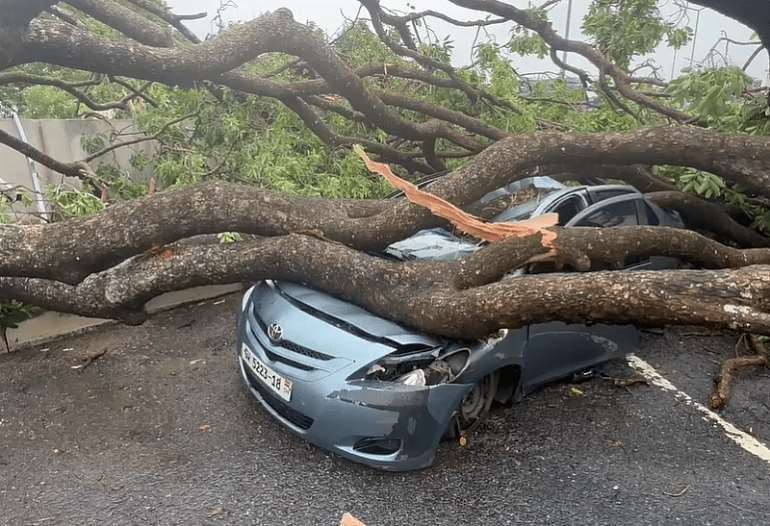 Falling tree destroy vehicles, one person injured in Monday's rainstorm