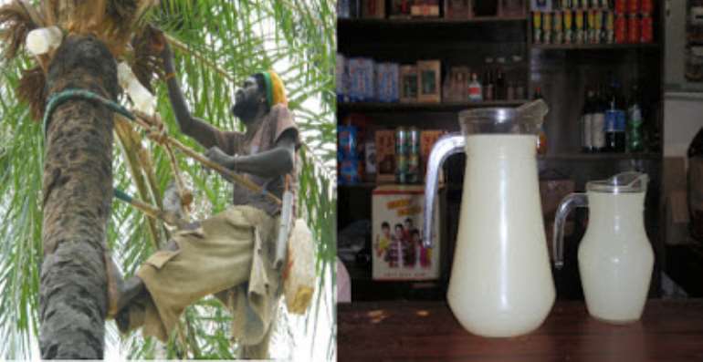 The Palm Tree: The Subsistence Of Life In Africa