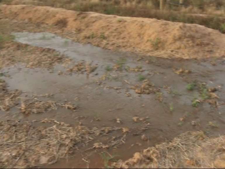 US Investor Accuses Gov't Of Deception Over Collapse of Aveyime Rice ...