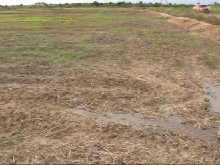 High electricity bills collapsing revived Aveyime Irrigation Project