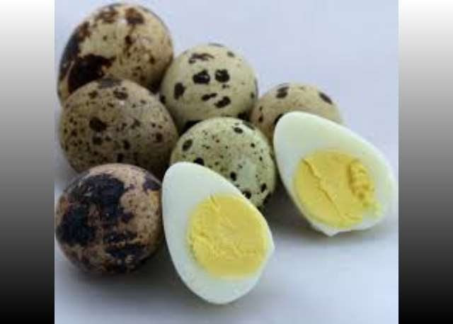 Quail Eggs Health Benefits Health Benefits Of Quail Eggs!!! Quail Eggs