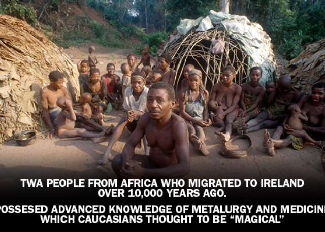 African Irish Population