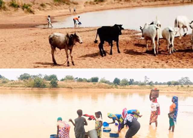 Animals Competing For Water