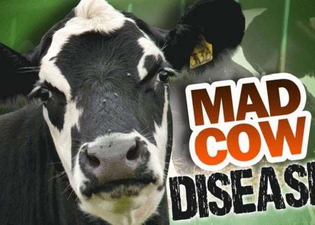 Mad Cow Disease Brochure