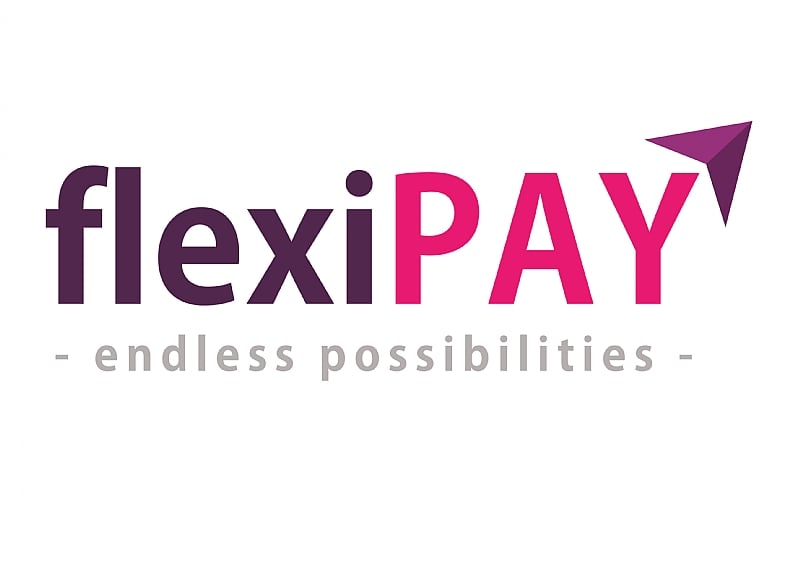 Can FlexiPay be the Game-changer for Ghana's Electronic Payment Systems??