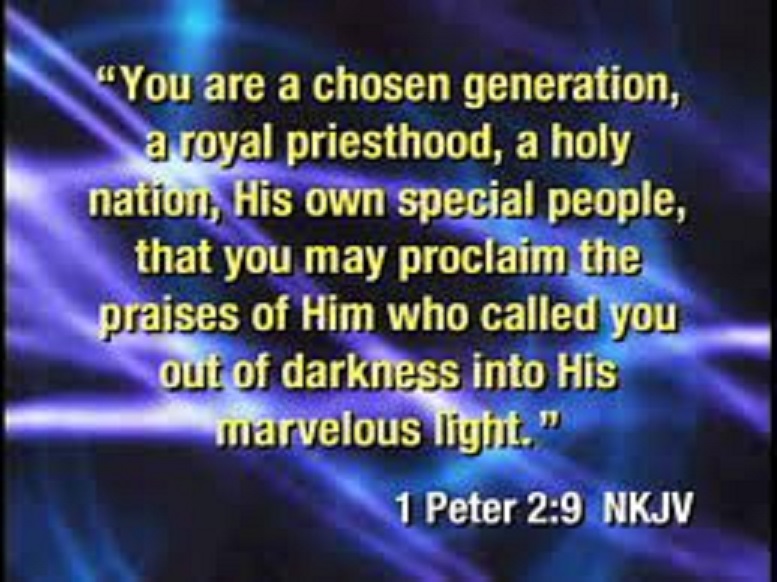 Remember that you are a chosen generation, a royal priesthood