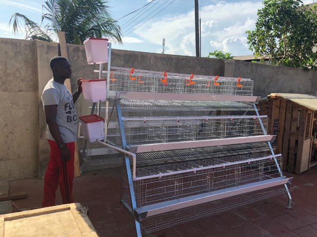 Smart Poultry Initiative Makes Poultry Farming Easy