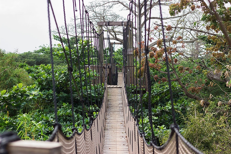 Legon Botanical Gardens – Accra’s Paradise