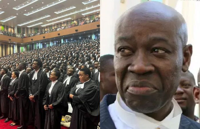 'You hear some people are called to the Bar and you wonder' — Thaddeus ...