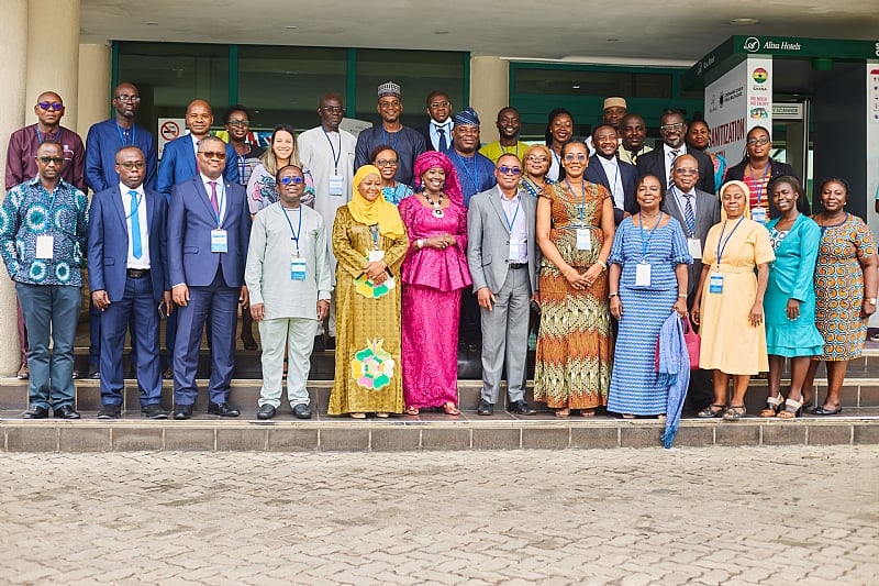 ECA, Researchers And Other Partners Dialogues To Strengthen Demographic ...