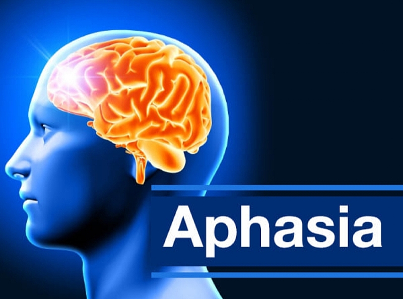 Aphasia and Dysgraphia: The Systemics of Language and Learning Disability