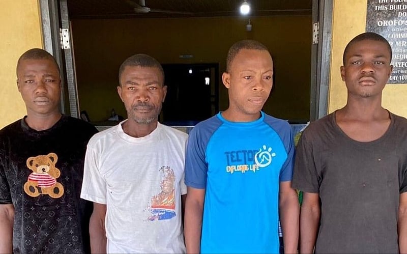 NDC constituency elections: Four arrested suspects of disturbances at ...