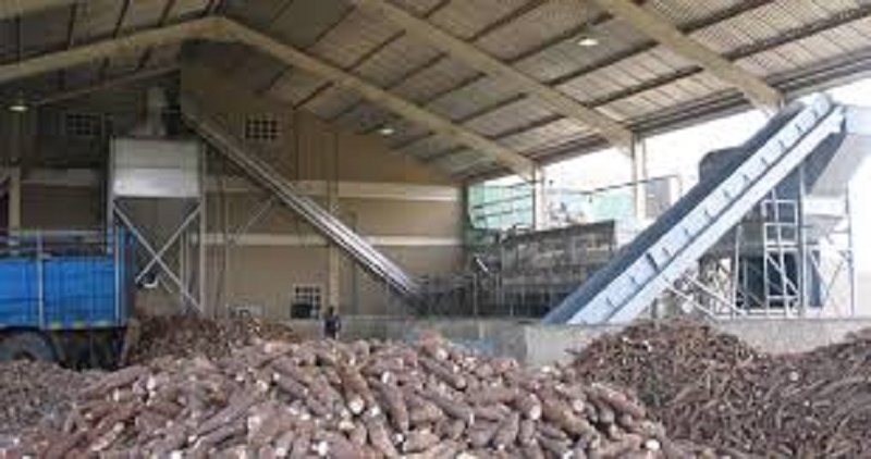 1D1F: Damongo To Get $50K Cassava Processing Factory — DCE Discloses