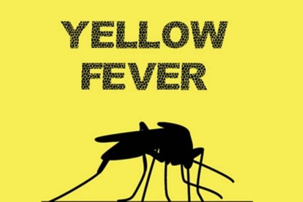 Suspected Yellow Fever outbreak kills eight persons in Savannah Region ...