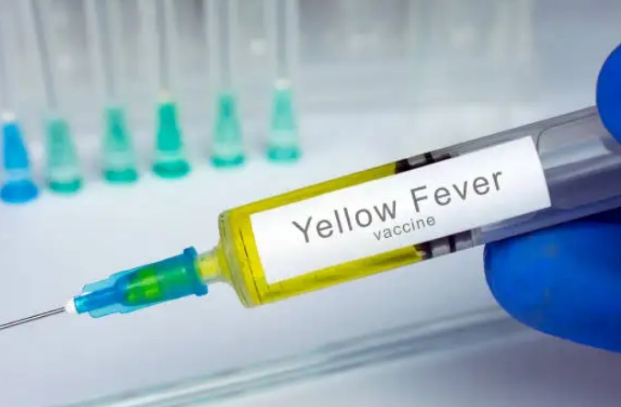 Suspected yellow fever claim eight lives in Savannah Region