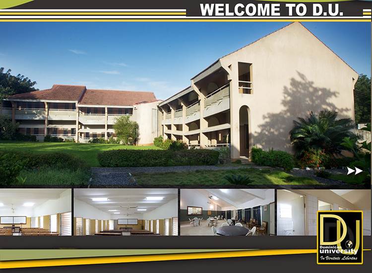 Professor Jacinta Opara, VC Dominican University, Samonda, Ibadan: One ...