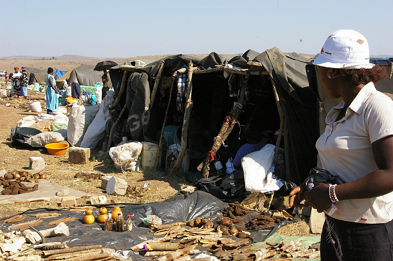 Traditional healing in South Africa needs spaces designed for the purpose