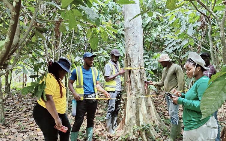 Restoring Ghana’s Forests and Landscapes, Rebuilding Livelihoods: A ...