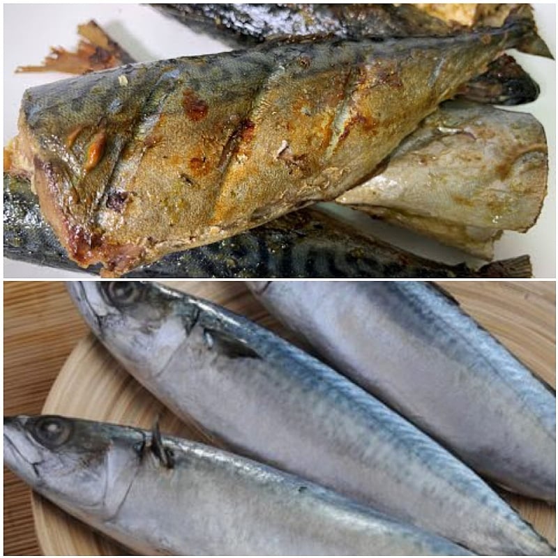 Salmon Reduces Heart Disease Risk and Improves Brain Health