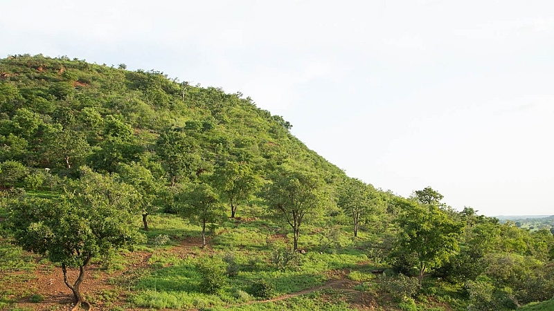 FMNR the sure way to greening Ghana at a low cost yet high results