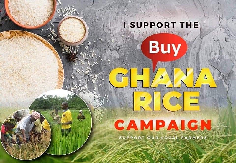The Rice Campaign: Adopting Domestication Principles To End Economic Woes
